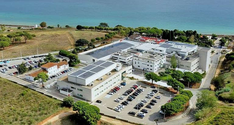 Drug Products - Siegfried