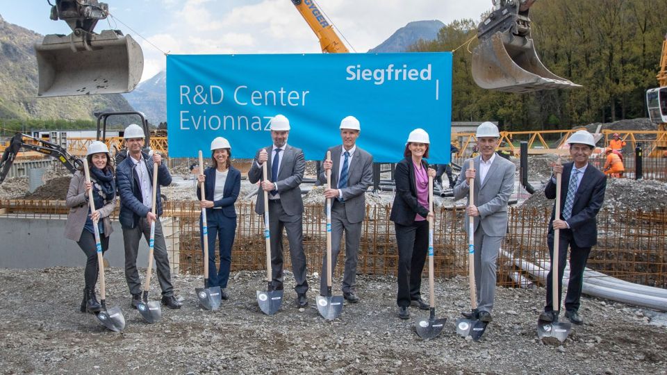 Reporting - Siegfried